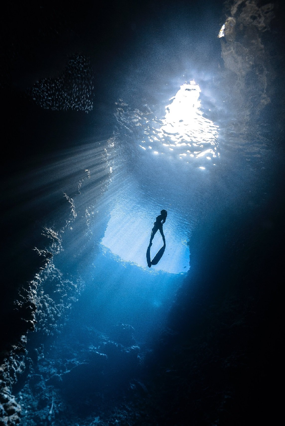 Trackless - Adventure Travel